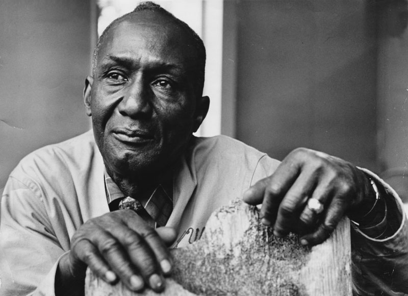 STEVEN S. POWERS - James W. Washington, Jr. - Ricebird 1974